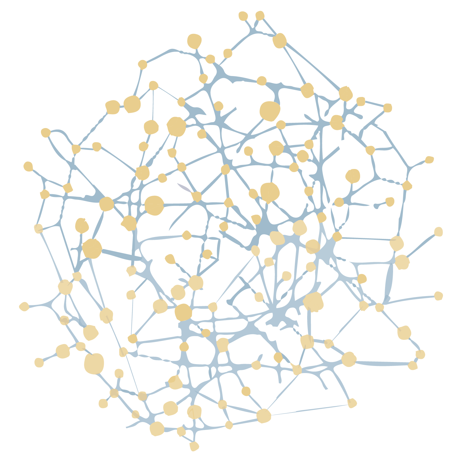 How to log in to DataViz - COPE-ID & DataViz